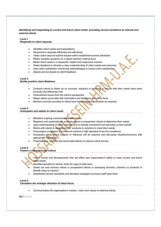 Competency dictionary | PDF