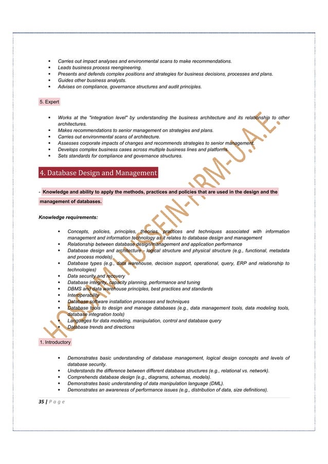 Competency dictionary | PDF