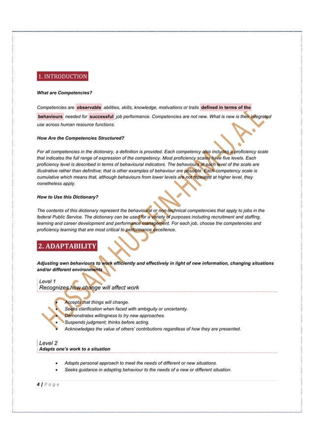 Competency dictionary | PDF