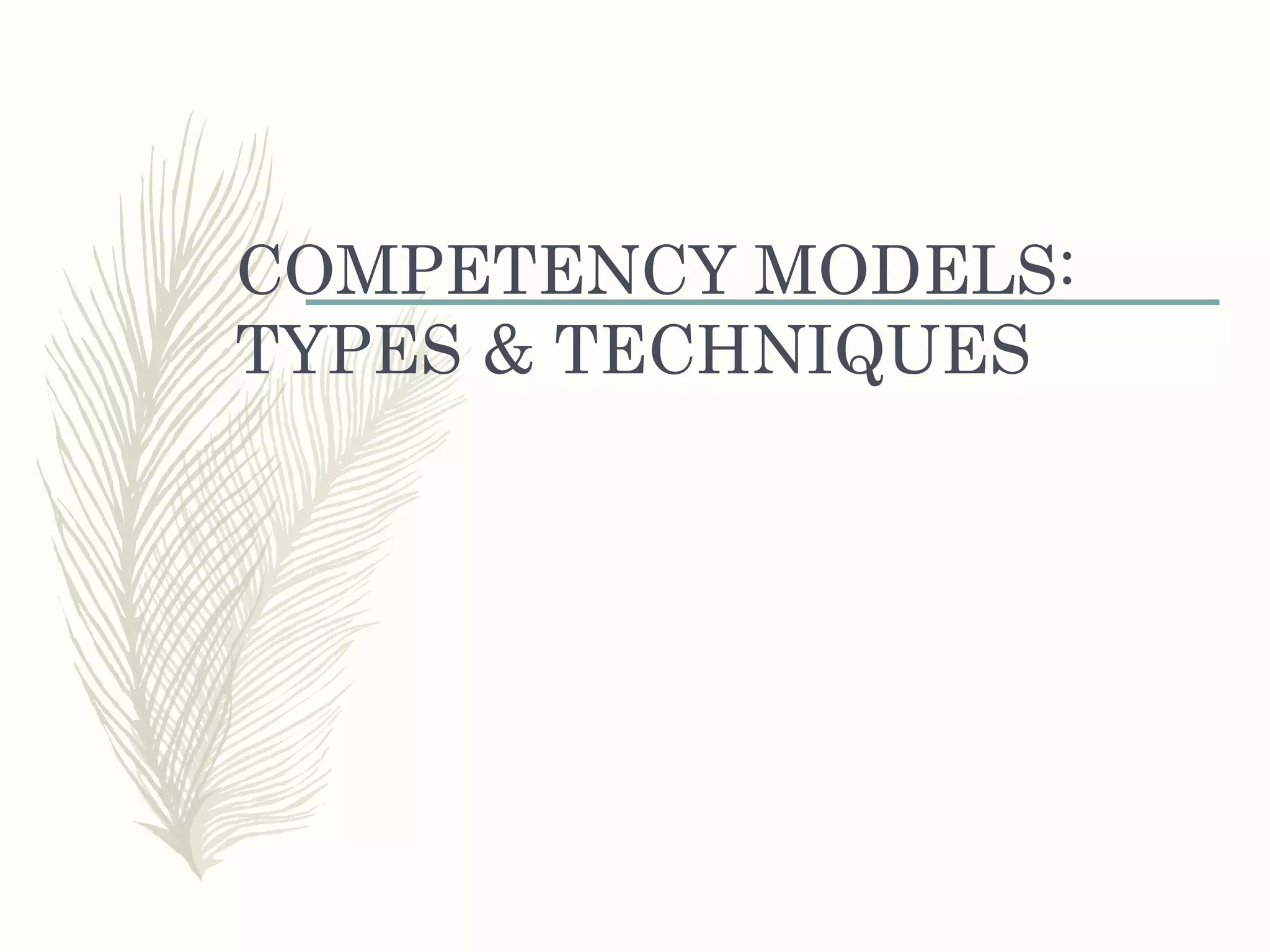 Competency mapping (2) | PPTX