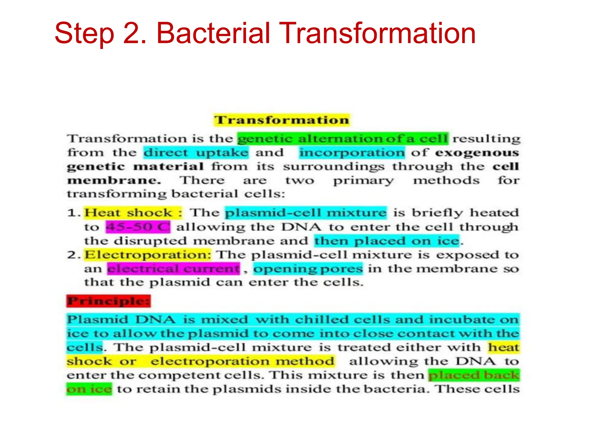 Competent cell preperation and bacterial transformation.ppt