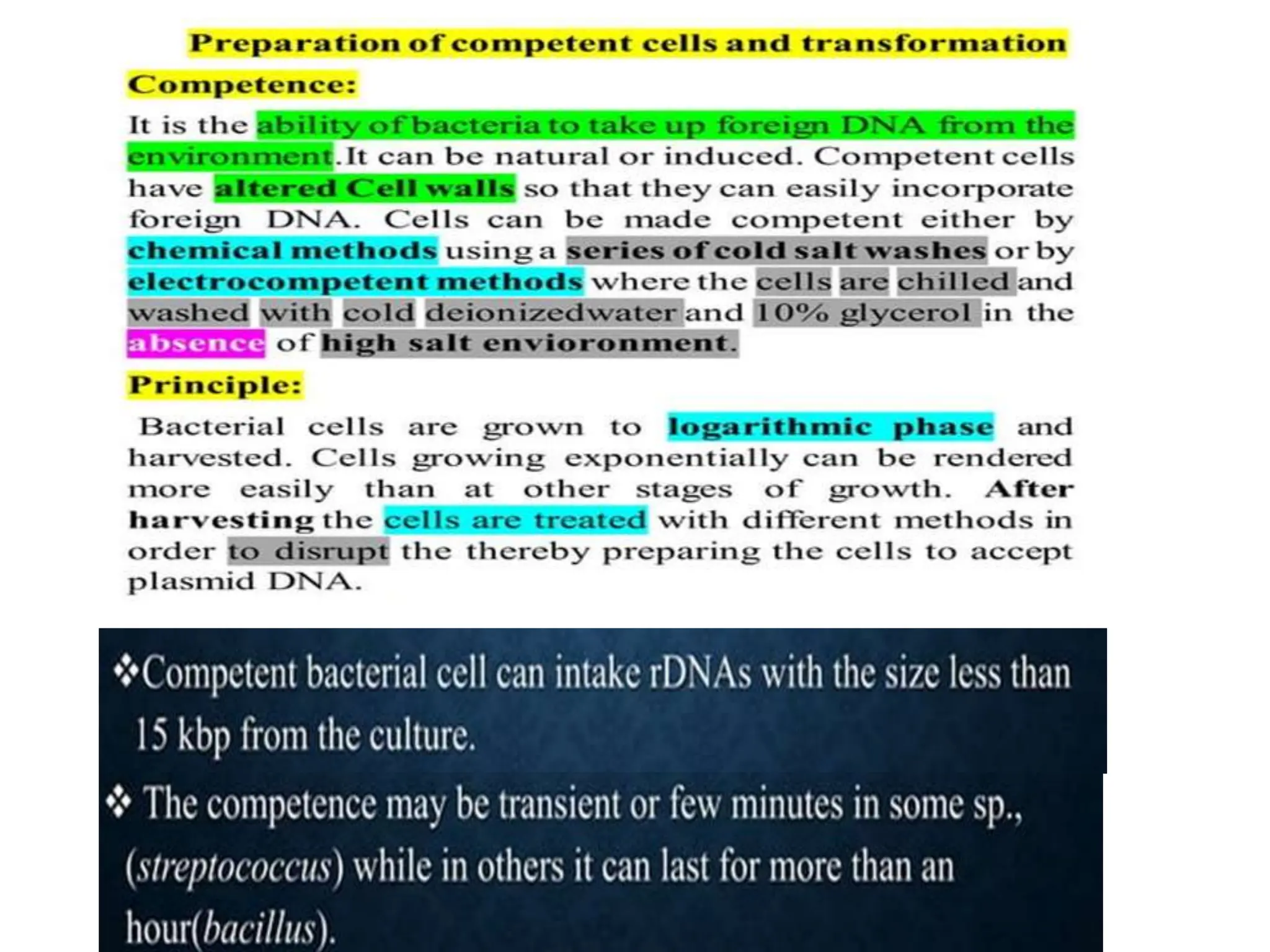 Competent cell preperation and bacterial transformation.ppt
