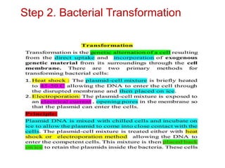 Competent cell preperation and bacterial transformation.ppt ...