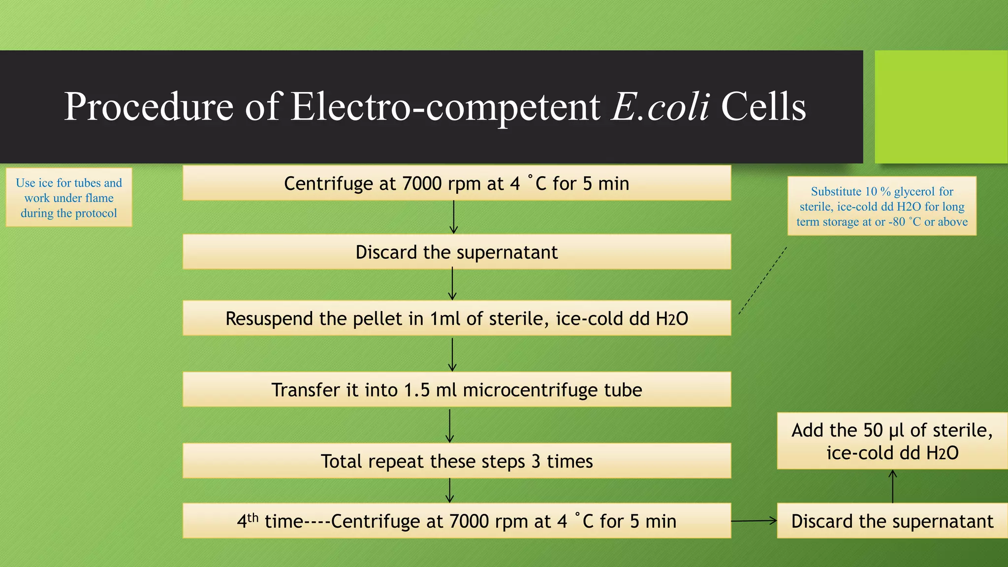 Competent cells formation | PPTX