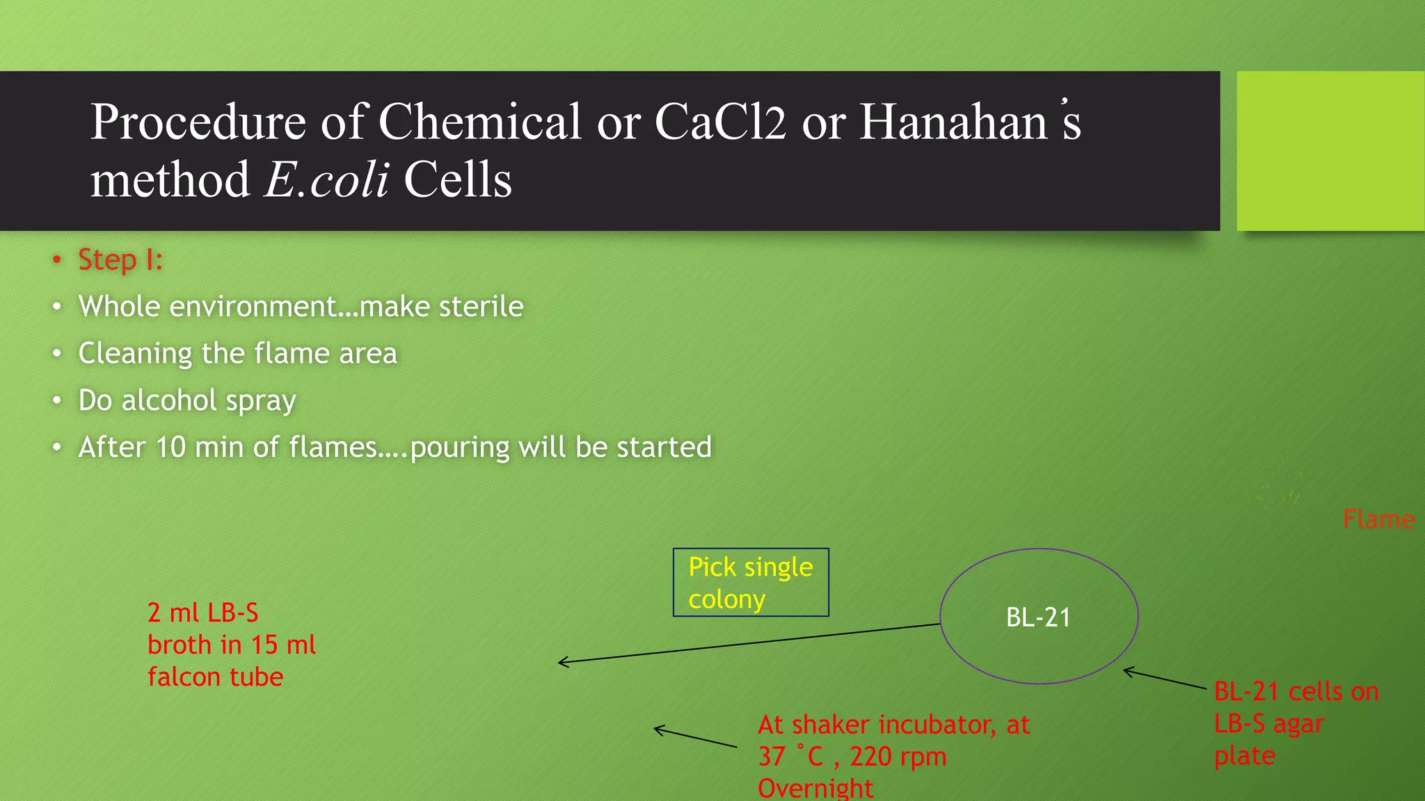 Competent cells formation | PPTX