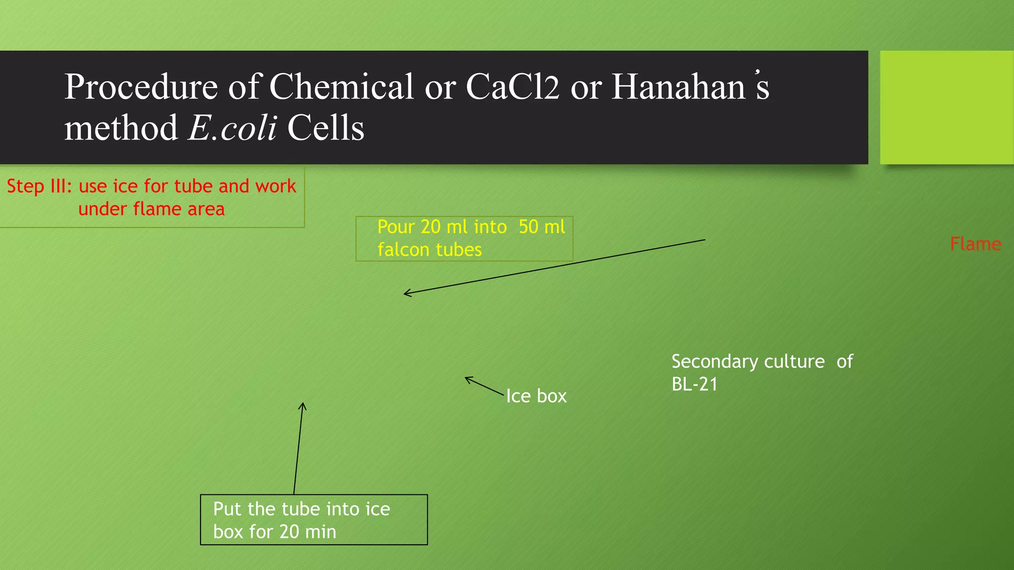 Competent cells formation | PPTX