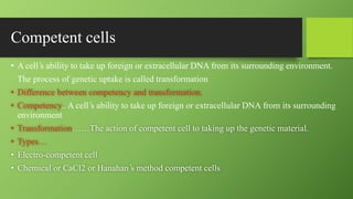 Competent cells formation | PPTX