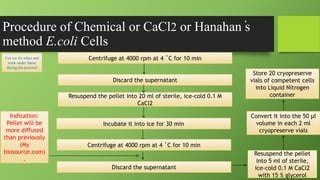 Competent cells formation | PPTX