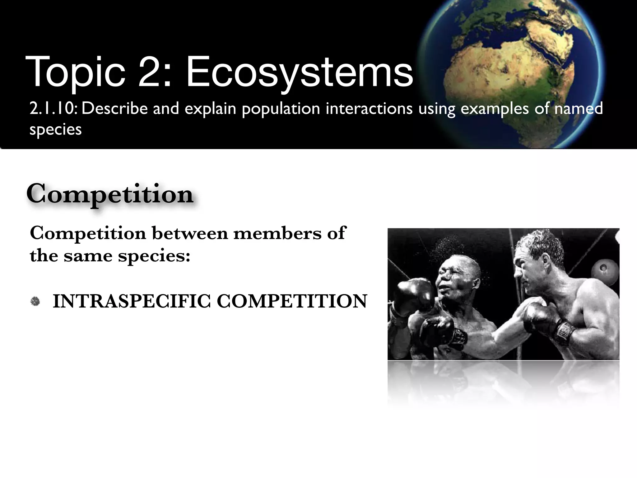 Ecological Competition | PDF