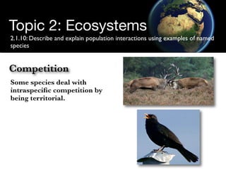 Ecological Competition | PDF