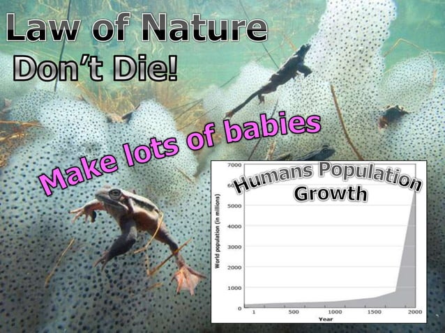 Ecology, Competition Lesson PowerPoint, Competitive Exclusion | PPTX