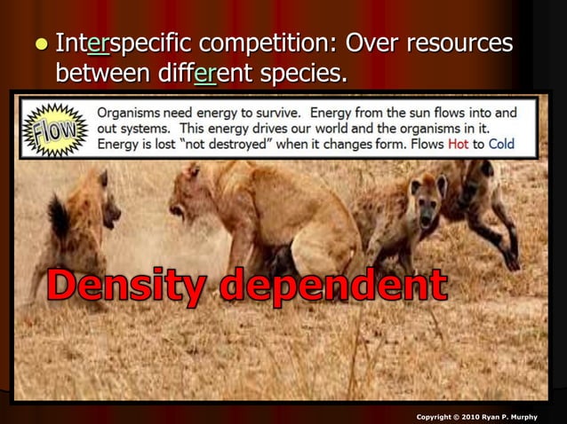Ecology, Competition Lesson PowerPoint, Competitive Exclusion | PPTX