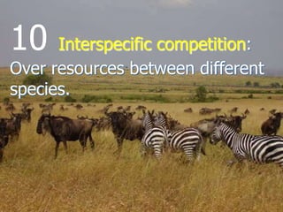 Competition Relationship