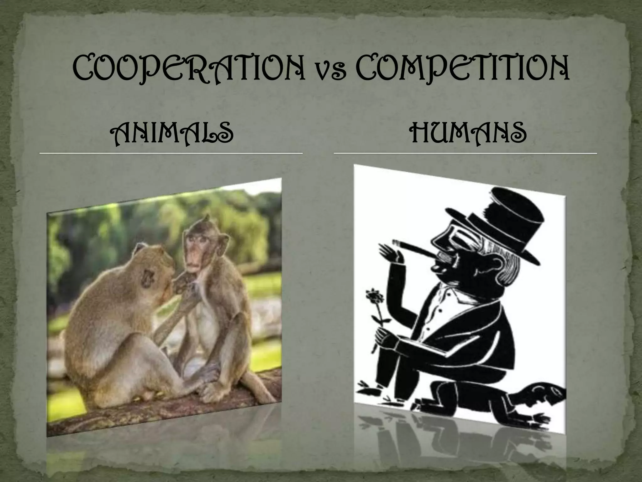 COMPETITION vs COOPERATION | PPTX