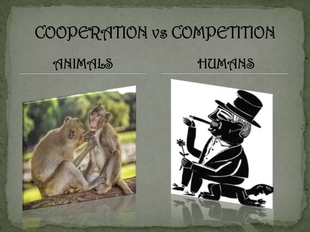 COMPETITION vs COOPERATION | PPTX | Pets