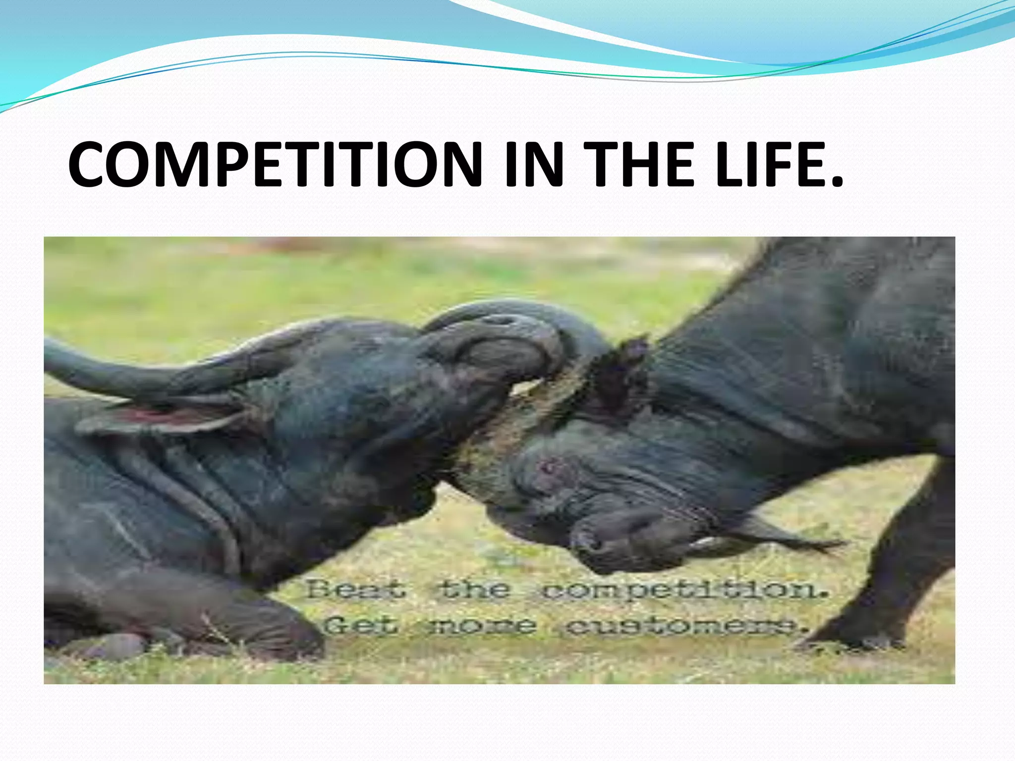 Competition and cooperation | PPTX