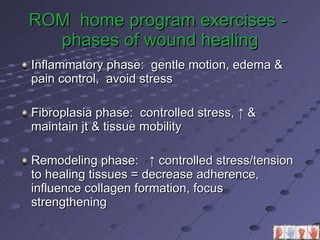 Hand Therapy - Influence on Rehabilitation Outcome | PPT