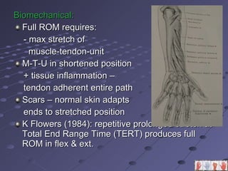 Hand Therapy - Influence on Rehabilitation Outcome | PPT