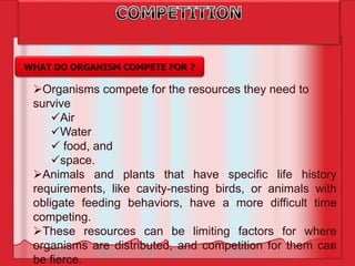 Competition power point | PPTX