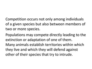 Competition PowerPoint | PPTX