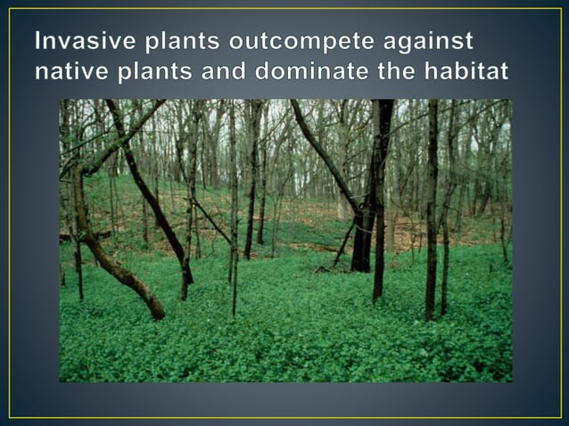 Competitive fitness of invasive plants | PPTX | Gardening | Home & Garden