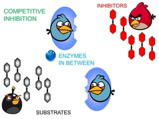Competitive Inhibition | PPTX
