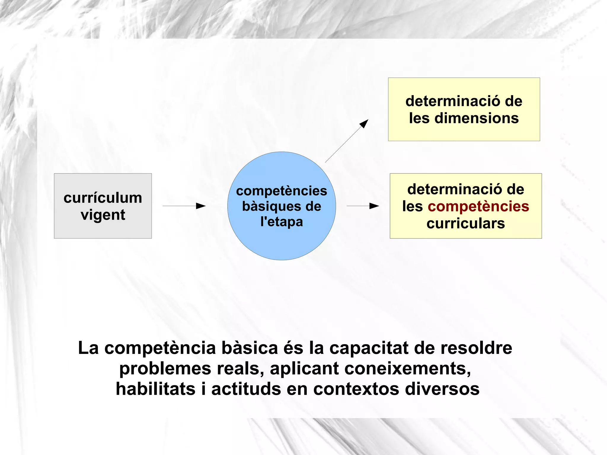 Competències bàsiques de l'àmbit lingüístic a secundària | ODP