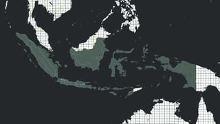 The story of Bandung Raya | PPT