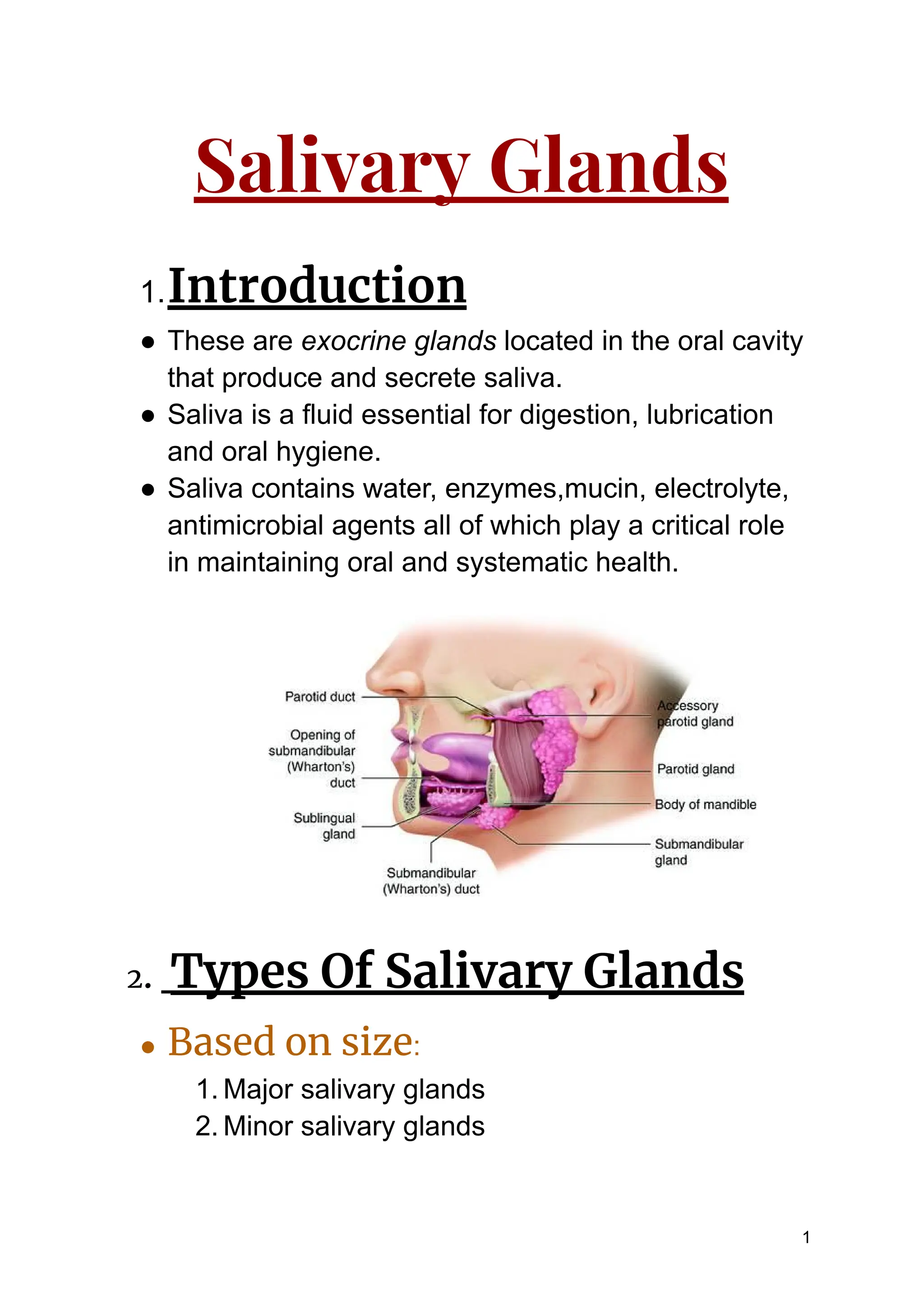 Salivary glands: Introduction, Types of salivary glands, Structure and ...