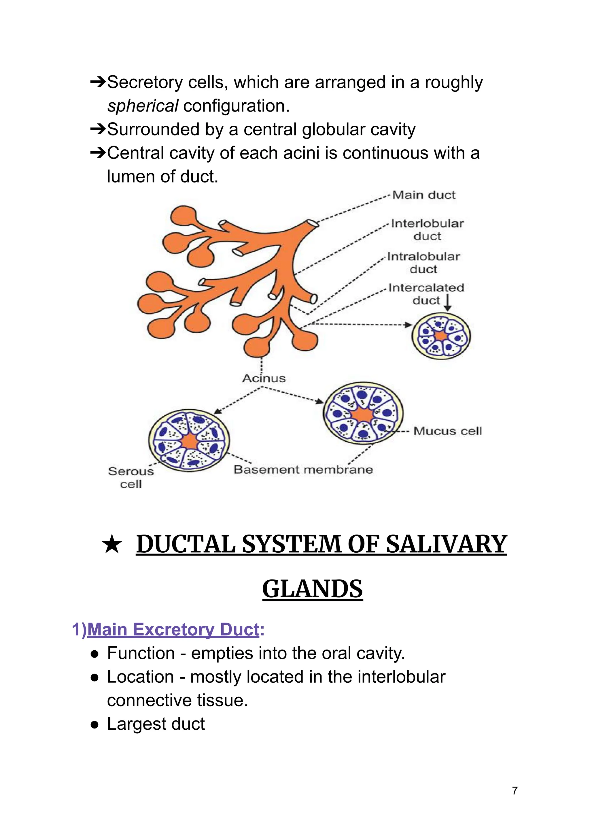 Salivary glands: Introduction, Types of salivary glands, Structure and duct system of Salivary ...