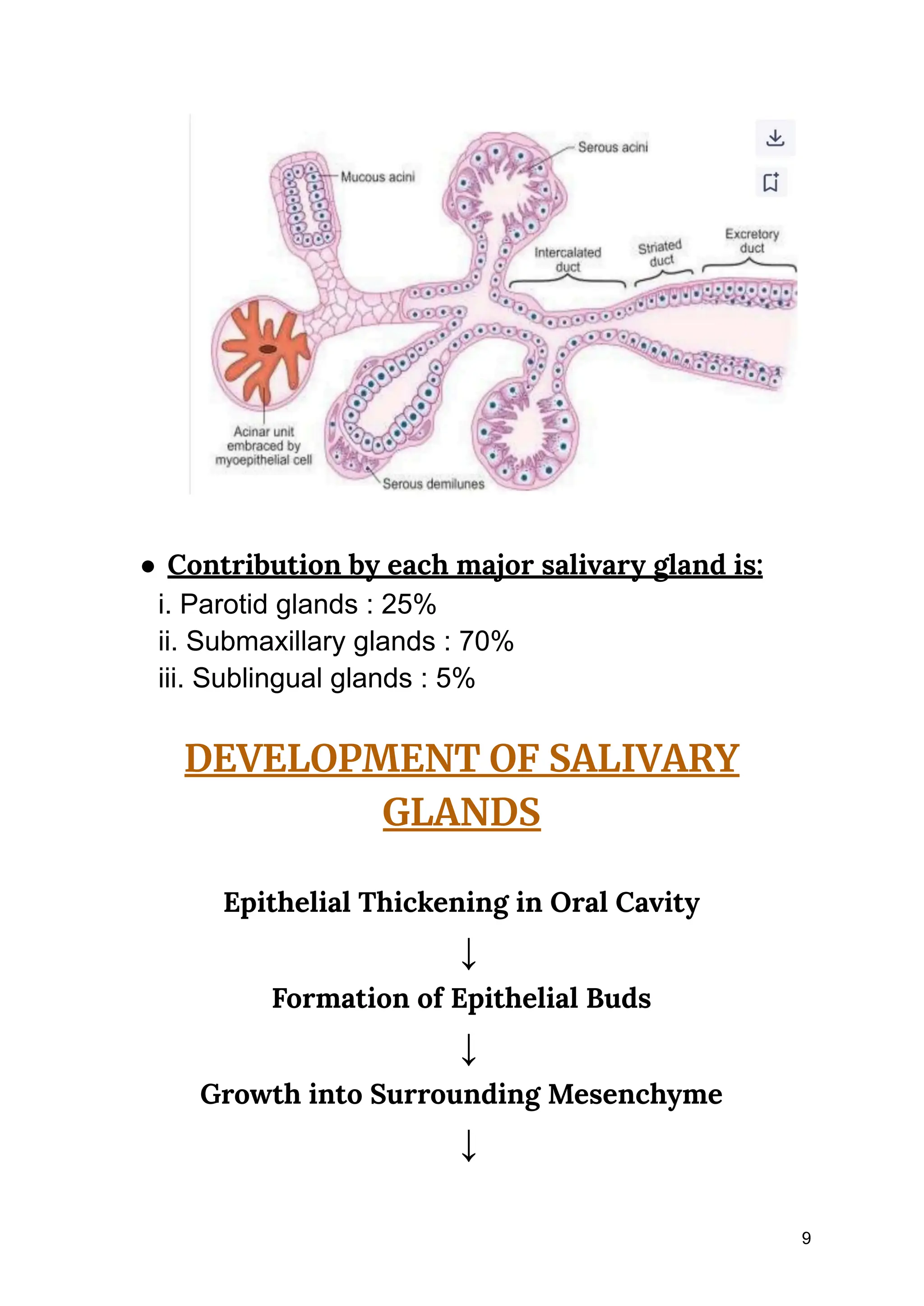 Salivary glands: Introduction, Types of salivary glands, Structure and ...
