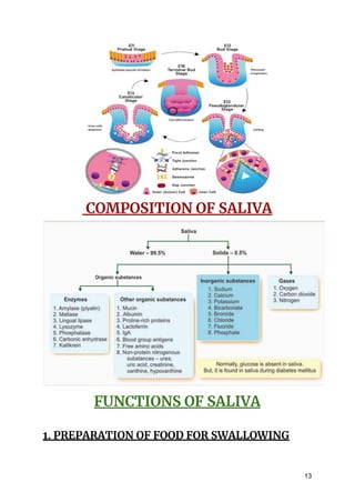 Salivary glands: Introduction, Types of salivary glands, Structure and ...
