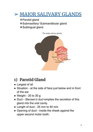 Salivary glands: Introduction, Types of salivary glands, Structure and ...
