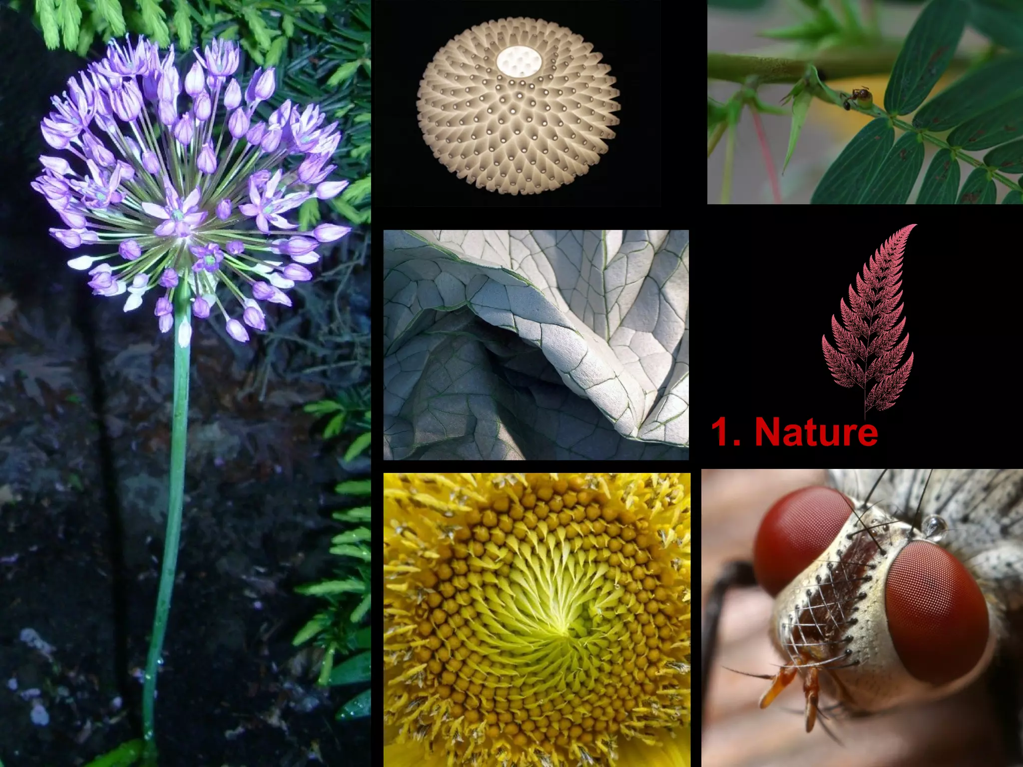 Compilation of lecture, structure 1 | PPT