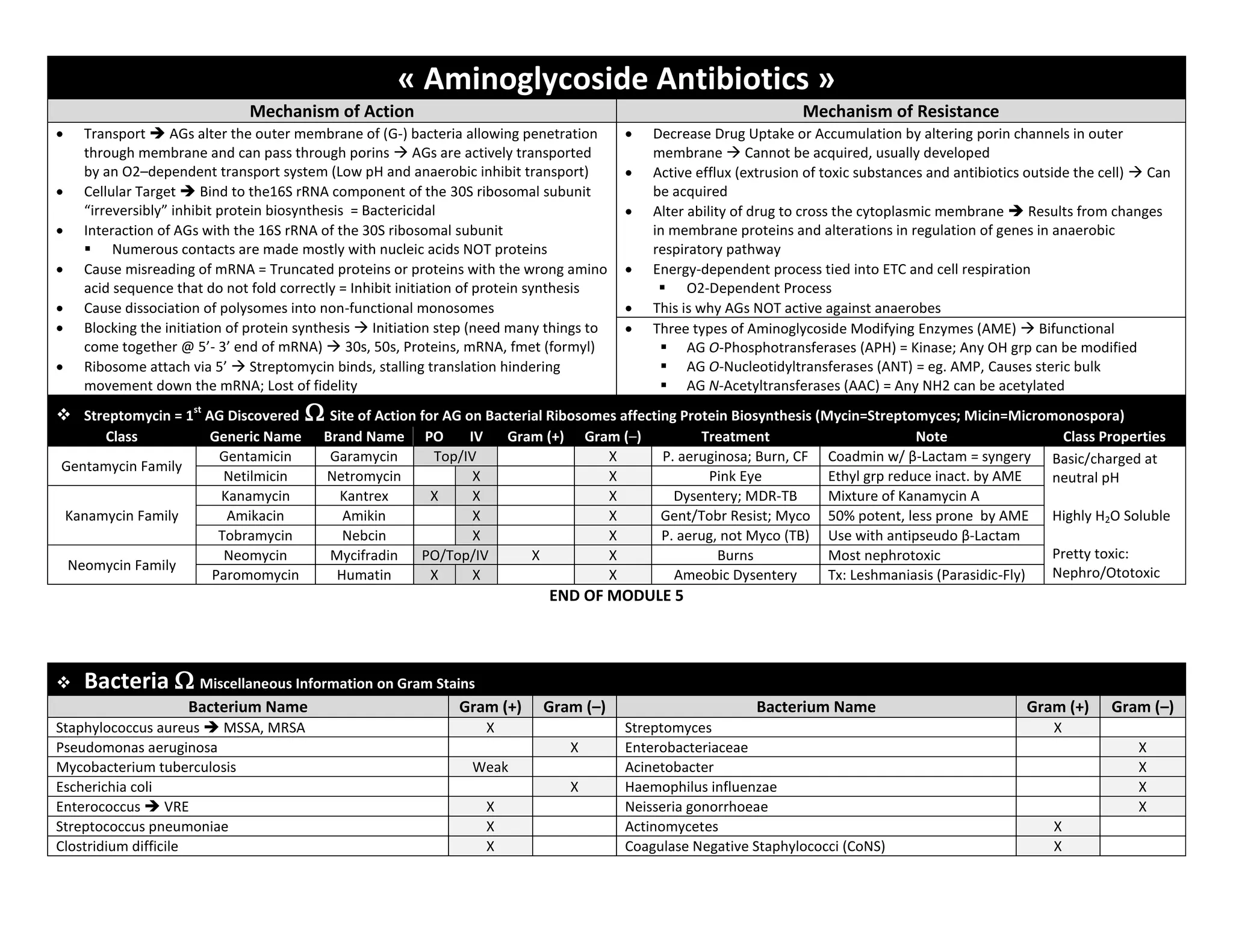 Compiled Antibiotic Table for study and review | PDF