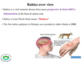 Compiled rabies training for health professionals ppt.pdf