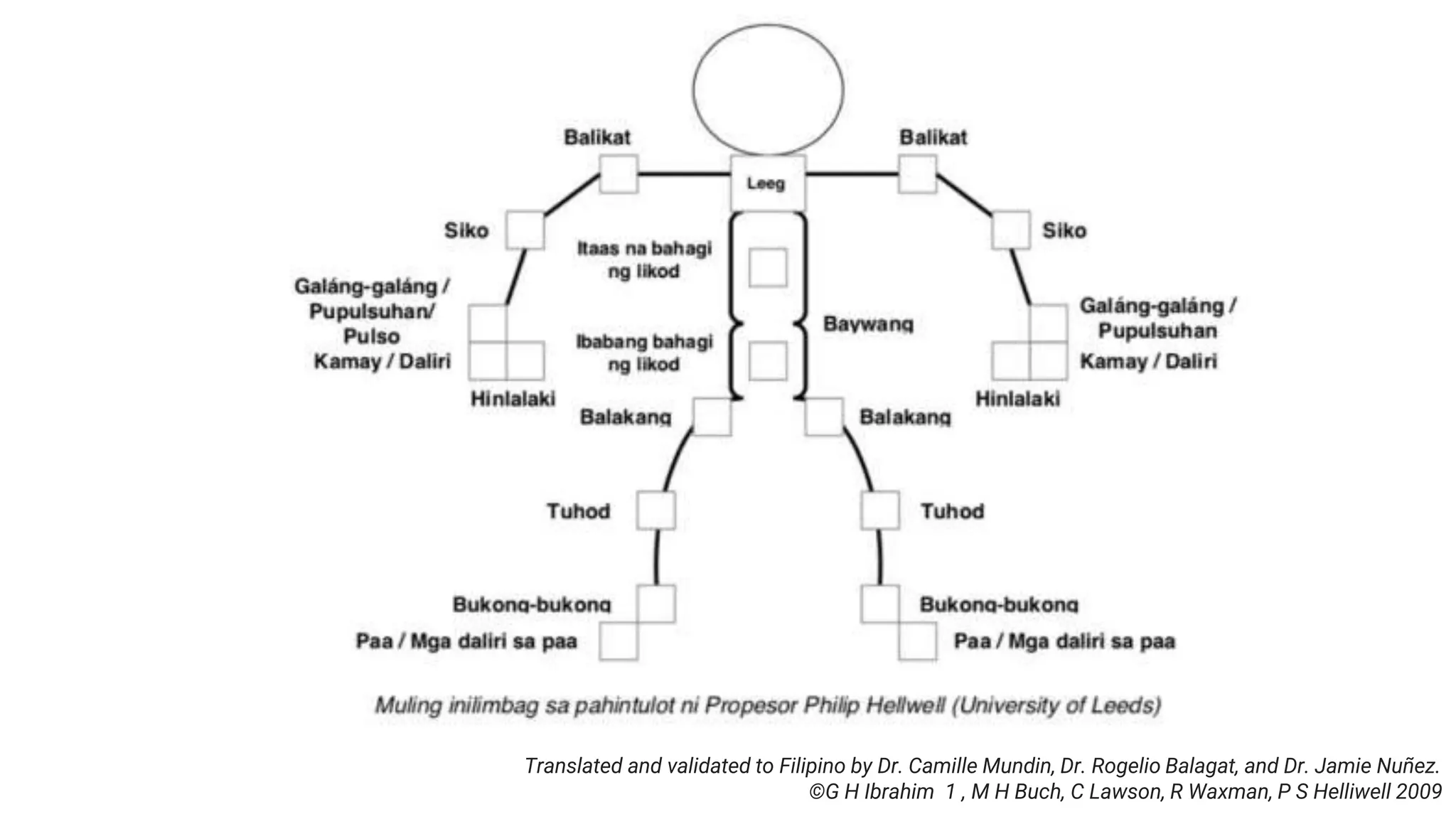 Compiled Scoring Systems in Dermatology_1650928171.pptx