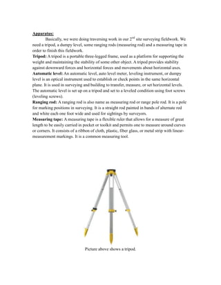 Site Surveying Fieldwork 2 | DOCX