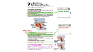 Compito utilizzo e book miledi | PPT