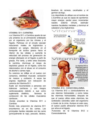 Complejo b | DOCX