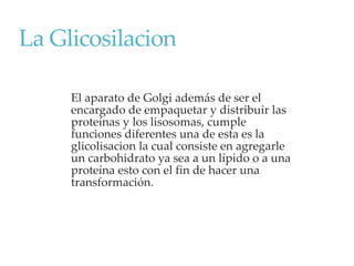 Complejo o aparato de golgi | PPTX