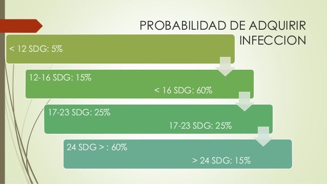 Complejo de torch por Carlos M. Montaño Pérez