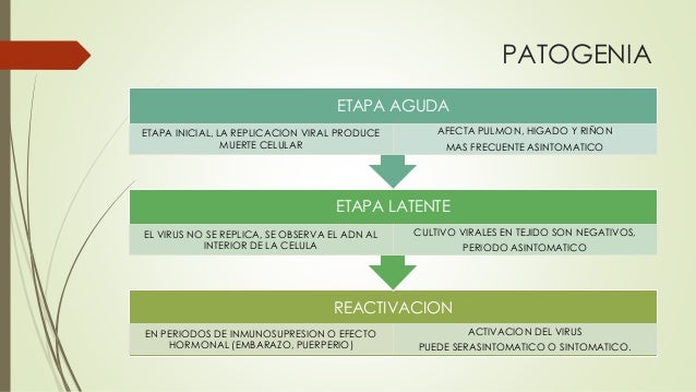 Complejo de torch por Carlos M. Montaño Pérez