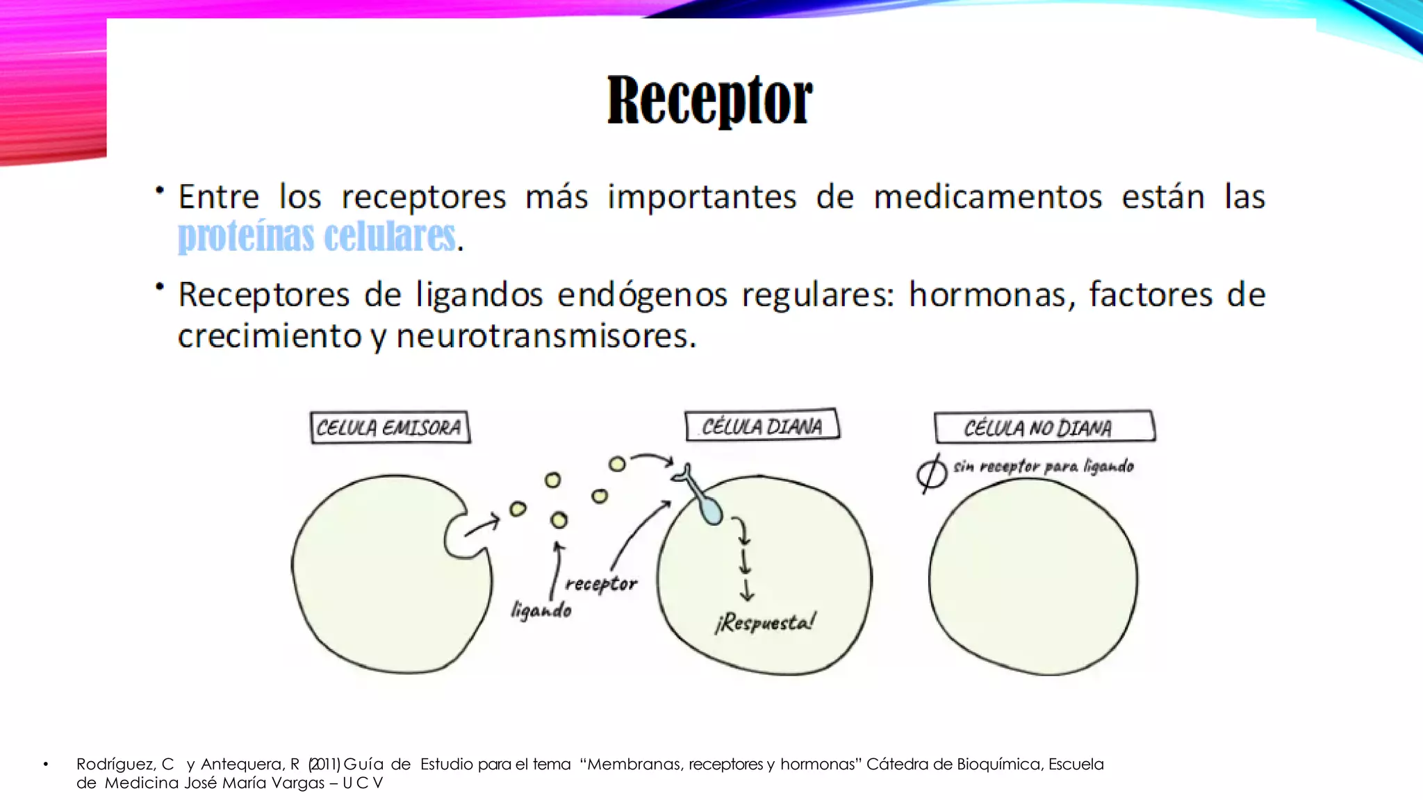 Complejo ligando receptor.pdf