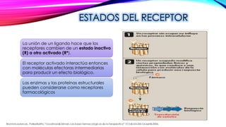 Complejo ligando receptor.pdf