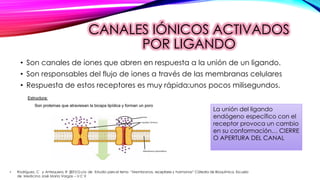 Complejo ligando receptor.pdf