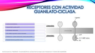 Complejo ligando receptor.pdf