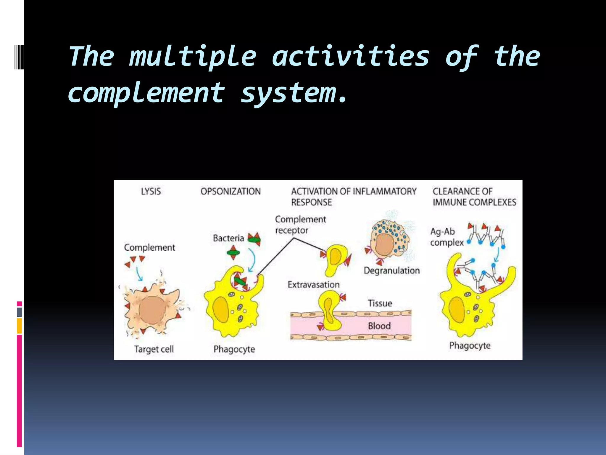 Complement system | PPTX