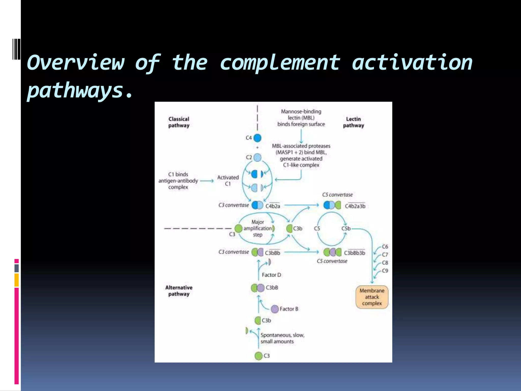 Complement system | PPTX
