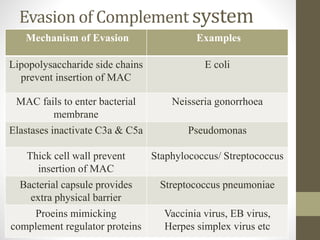 Complement system | PPT